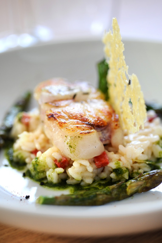 Poisson-rouge-poisson - © ©-2017-lepoissonrouge-otfrontignan